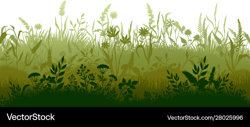 Marsh Grass Silhouette Landscape Royalty Free Vector Image