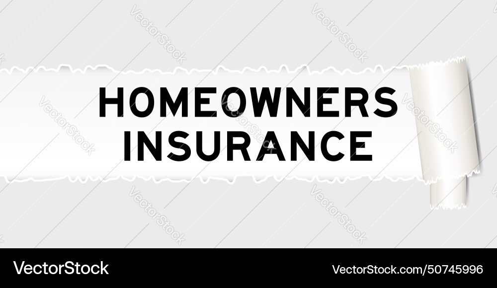 Ripped gray paper background that have word Vector Image