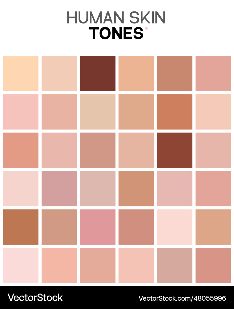 Skin tone color chart human texture Royalty Free Vector