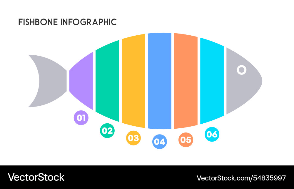 Fishbone diagram infographic with six-step Vector Image