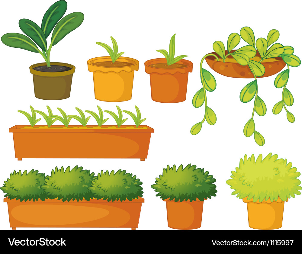Potted Plants Collection Royalty Free Vector Image