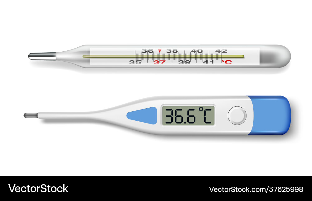 Digital and Mercury Thermometer Royalty Free Vector Image