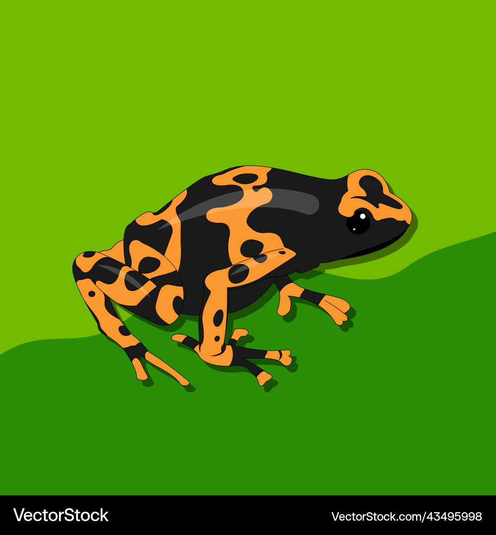 Frog free design Royalty Free Vector Image - VectorStock