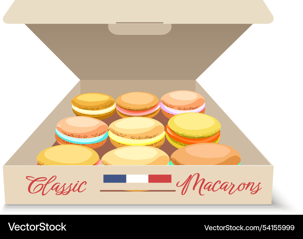 Macarons in open cardboard package Royalty Free Vector Image