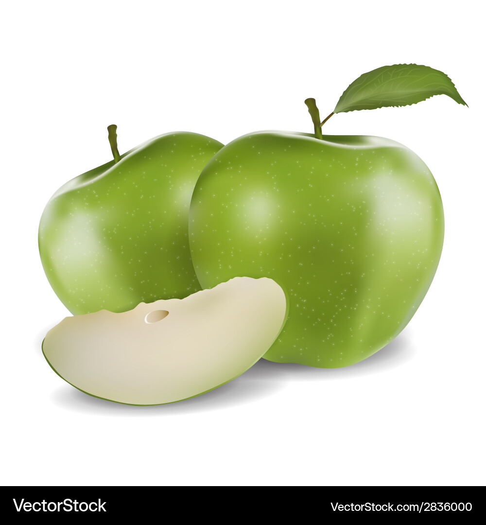 Green apple Royalty Free Vector Image - VectorStock