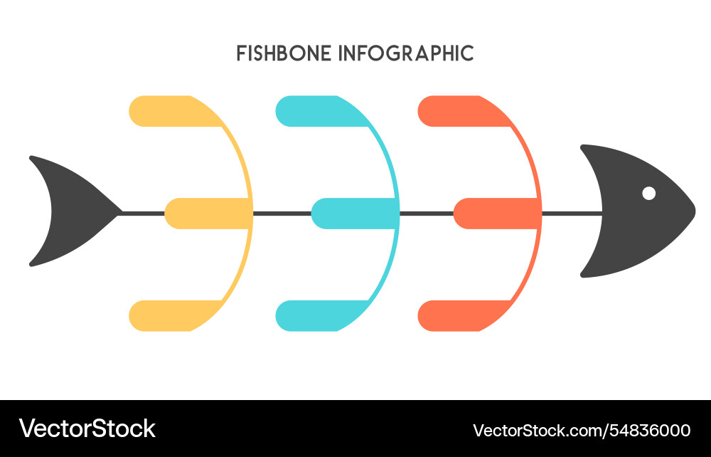 Simplified fishbone infographic for visual Vector Image
