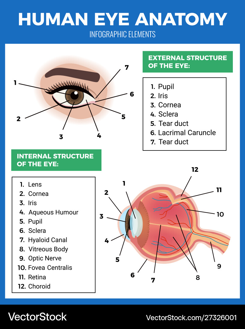 Eye Care Poster Design Eye Care Banner Design CDR File – L S