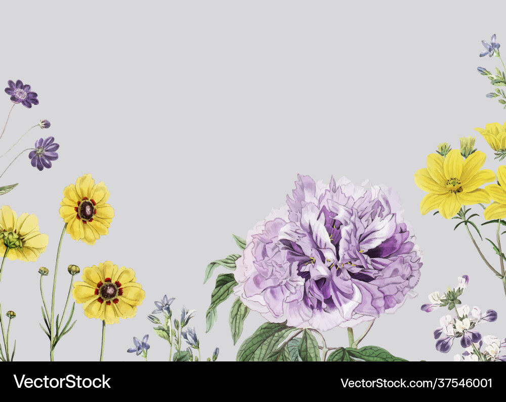 Flower frame Royalty Free Vector Image - VectorStock