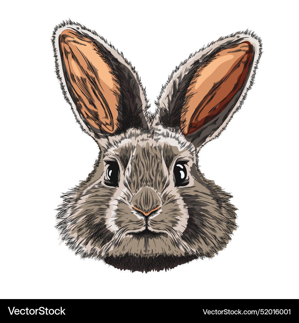 Lovely little rabbit hand drawn icon cute Vector Image