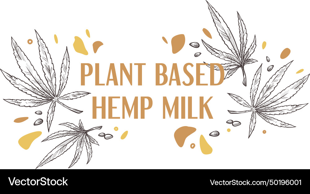 Plant based hemp milk label or emblem for package Vector Image