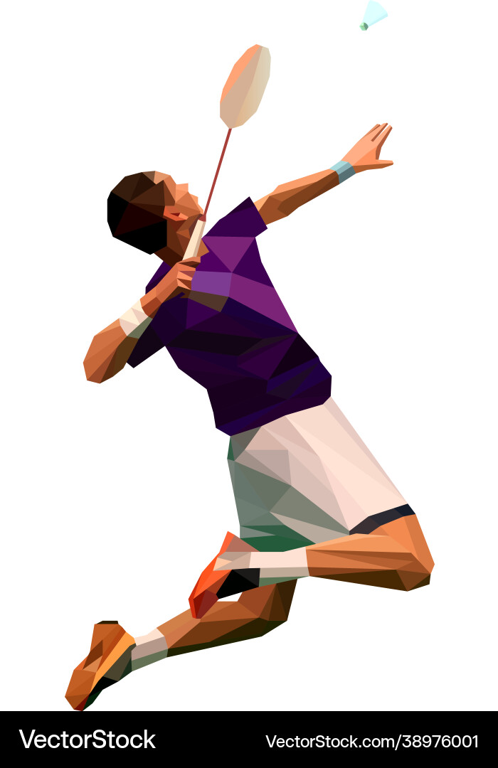 Polygonal professional badminton player doing Vector Image