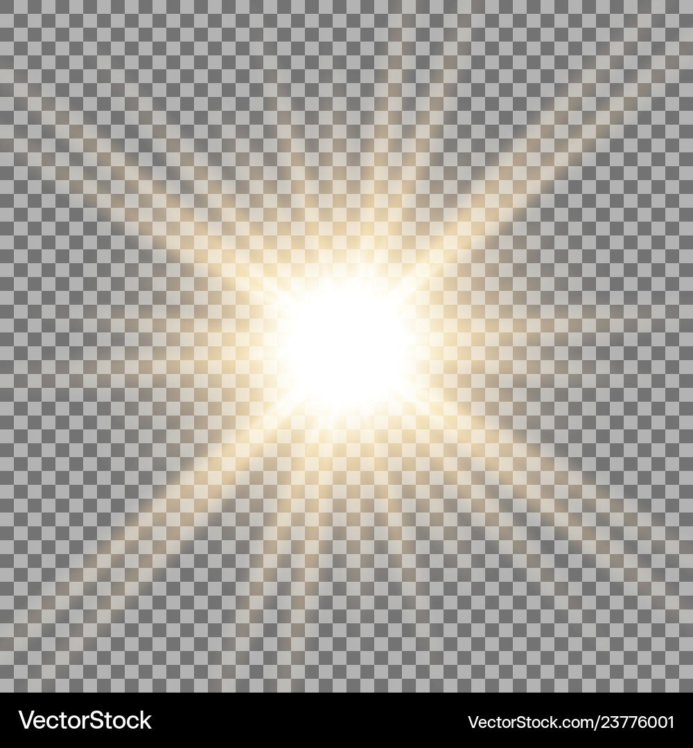 Shining star on transparent background golden Vector Image