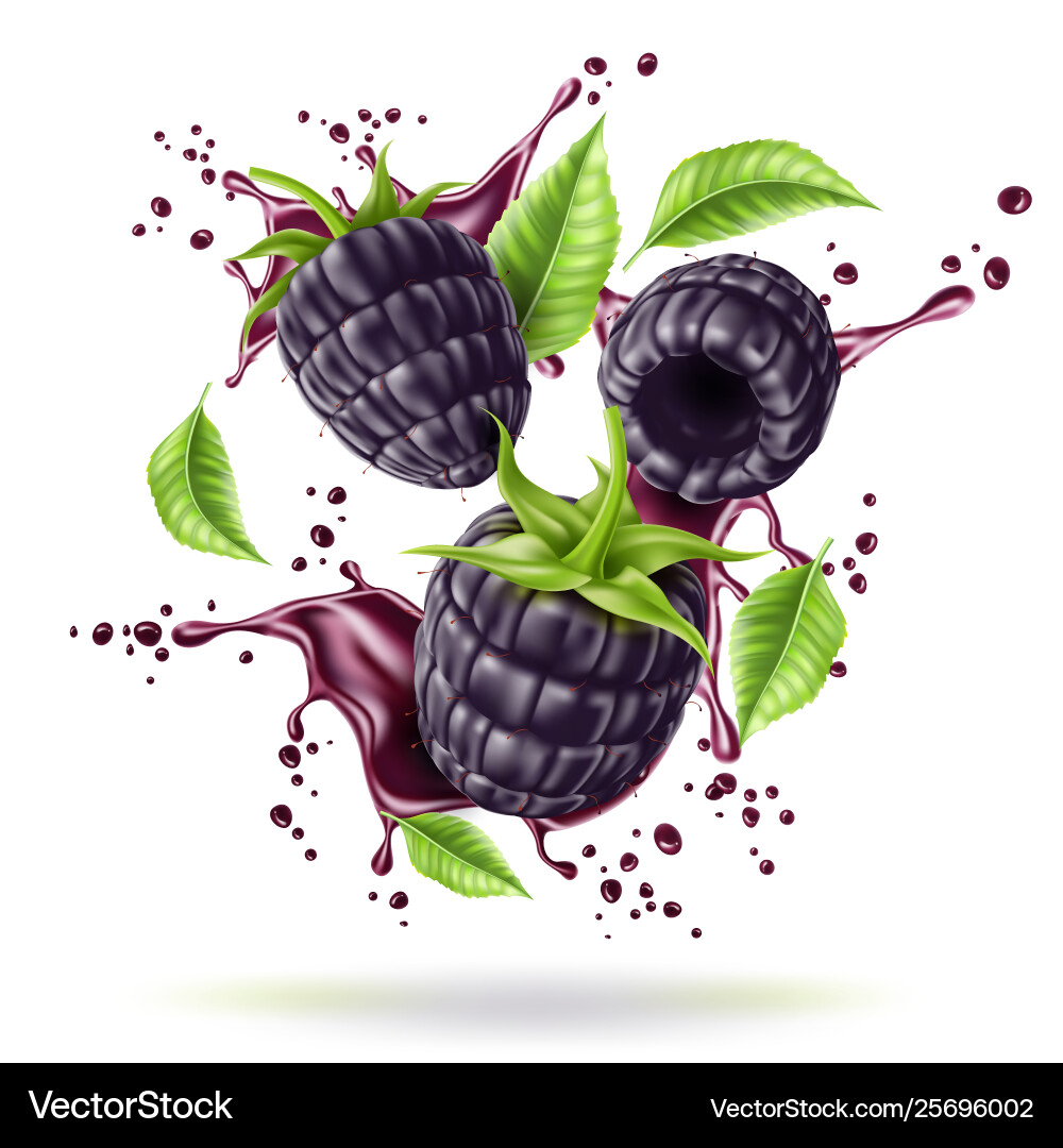 Blackberry Juice Splash - Motion Royalty Free Vector Image