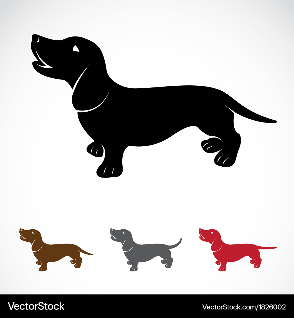 Dog dachshund Royalty Free Vector Image - VectorStock