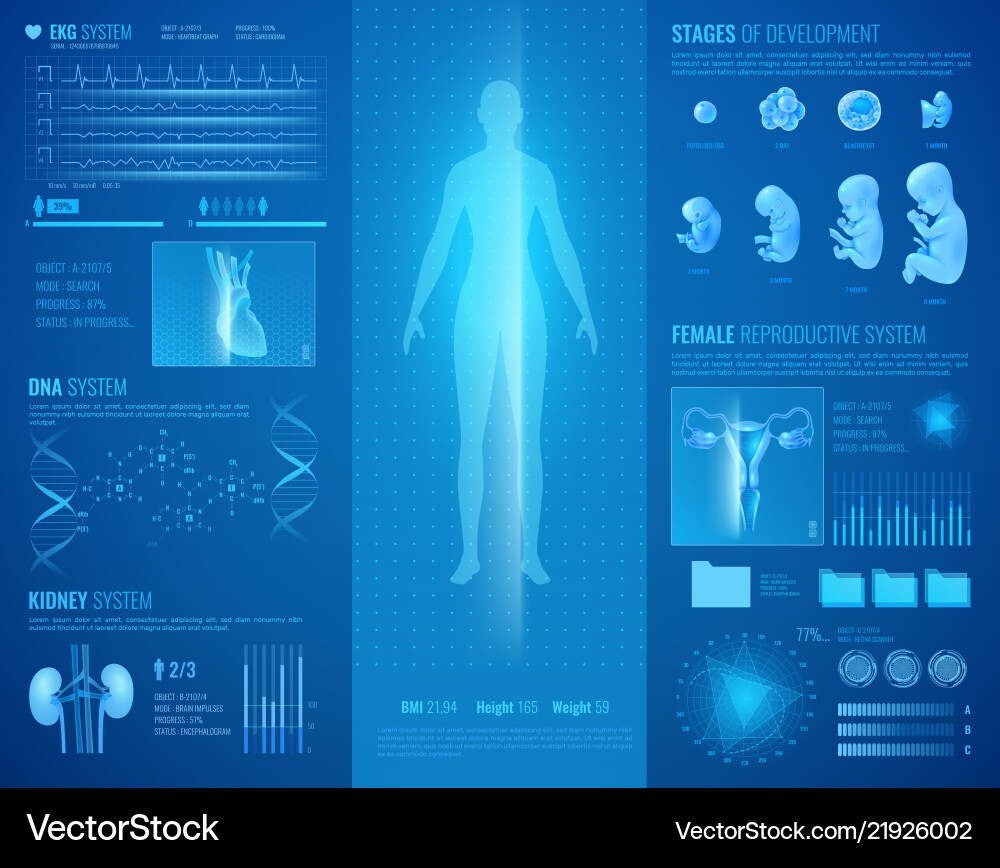 Medical hud interface Royalty Free Vector Image