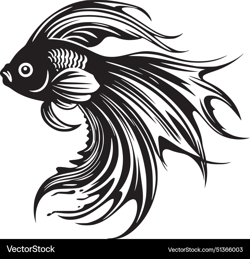Betta fish - black and white Royalty Free Vector Image