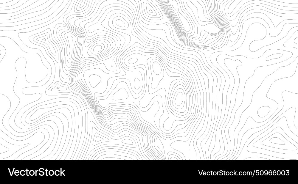 Seamless topographic map background line Vector Image