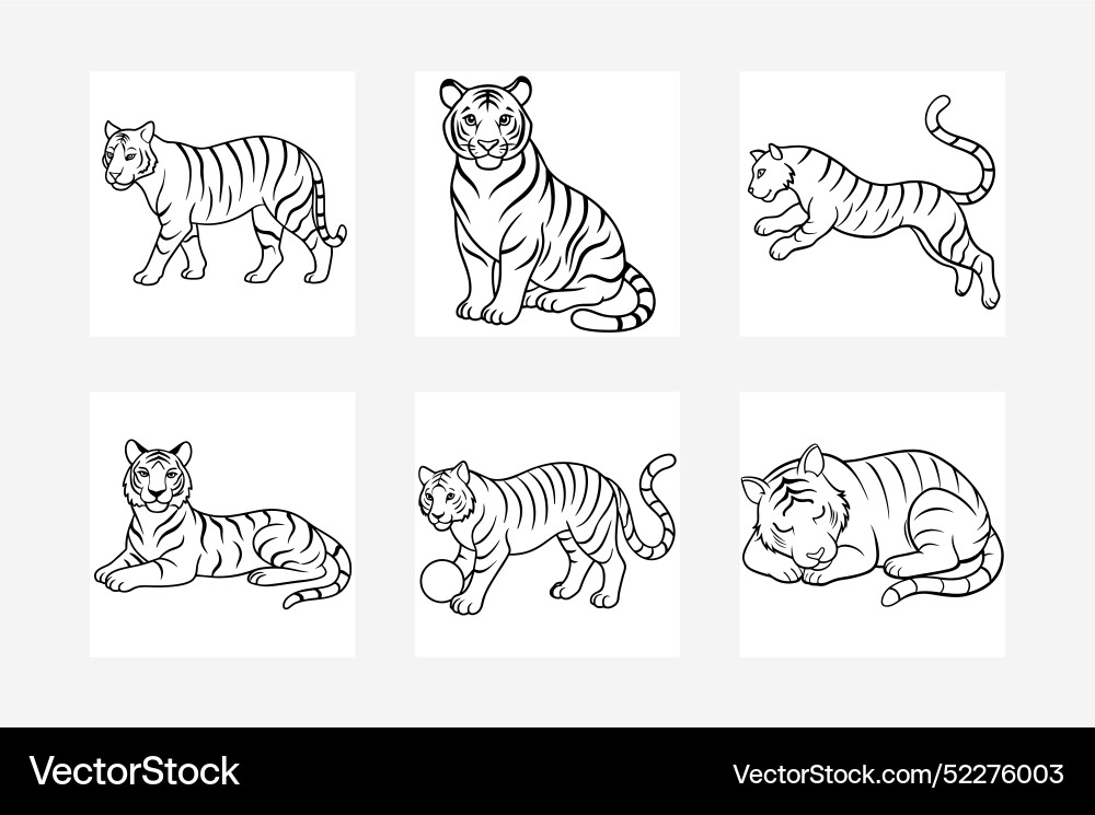 Set of tigers bundle Royalty Free Vector Image