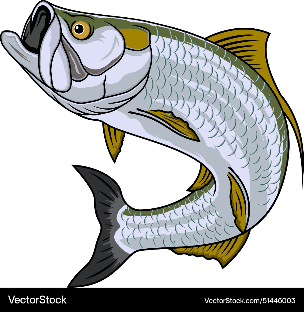 Tarpon fishing logo image Royalty Free Vector Image