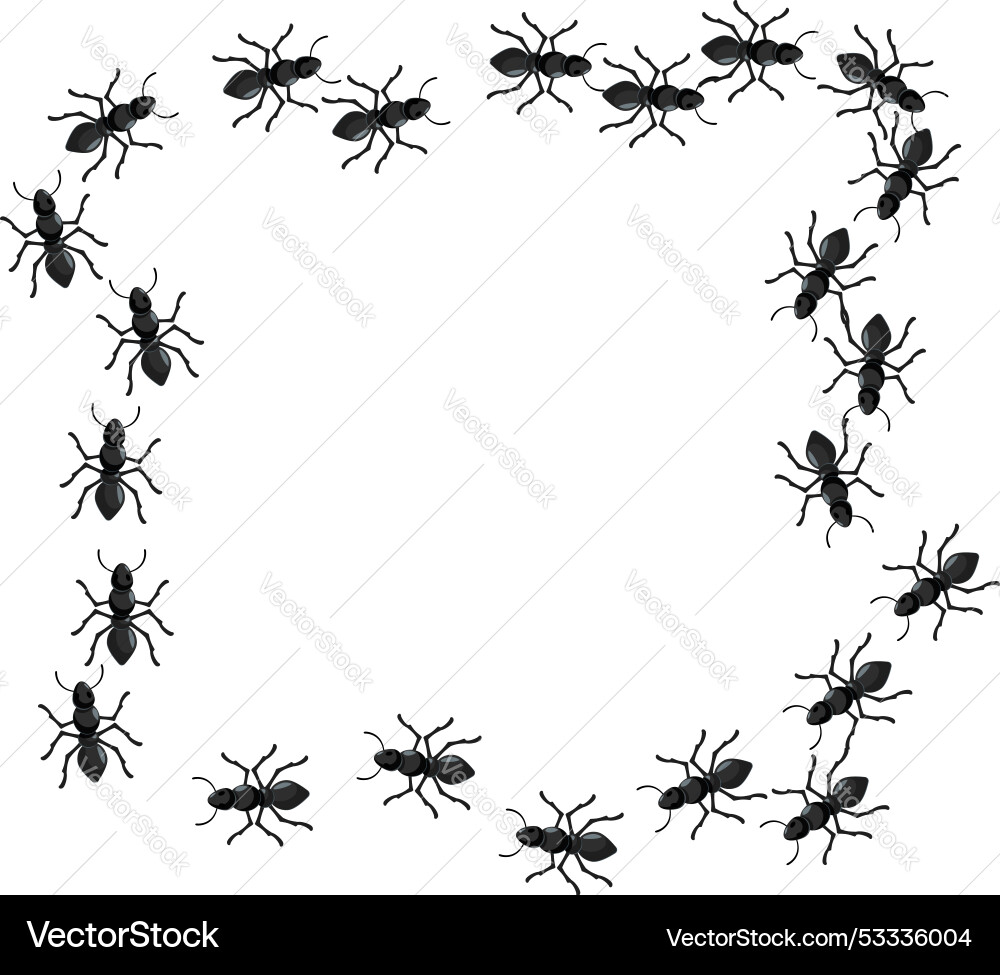 Black ants forming a square shape on white Vector Image