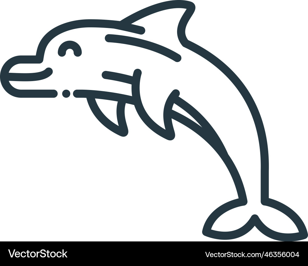 Dolphin sea animal Royalty Free Vector Image - VectorStock