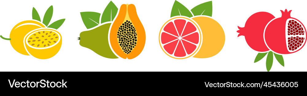 Fruit Royalty Free Vector Image - VectorStock