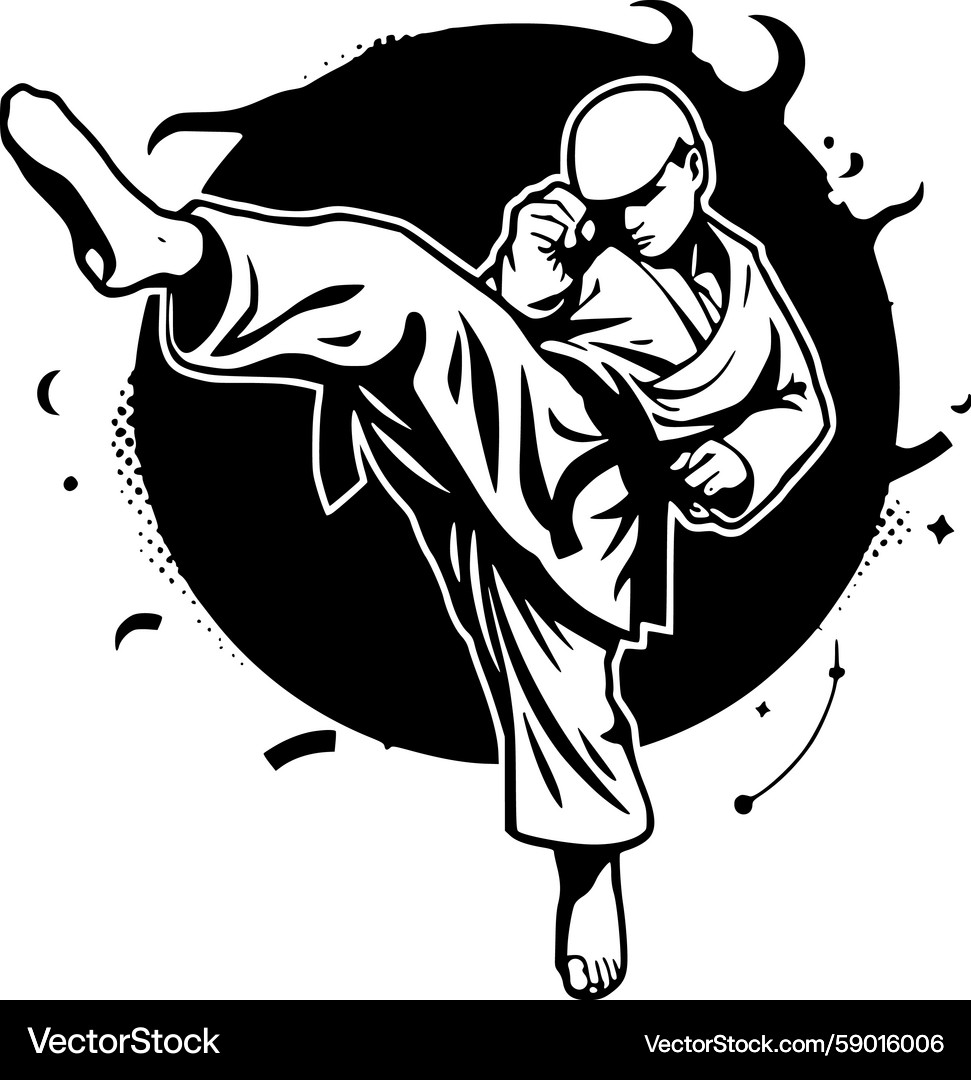 Dynamic Karate Kick Royalty Free Vector Image - VectorStock