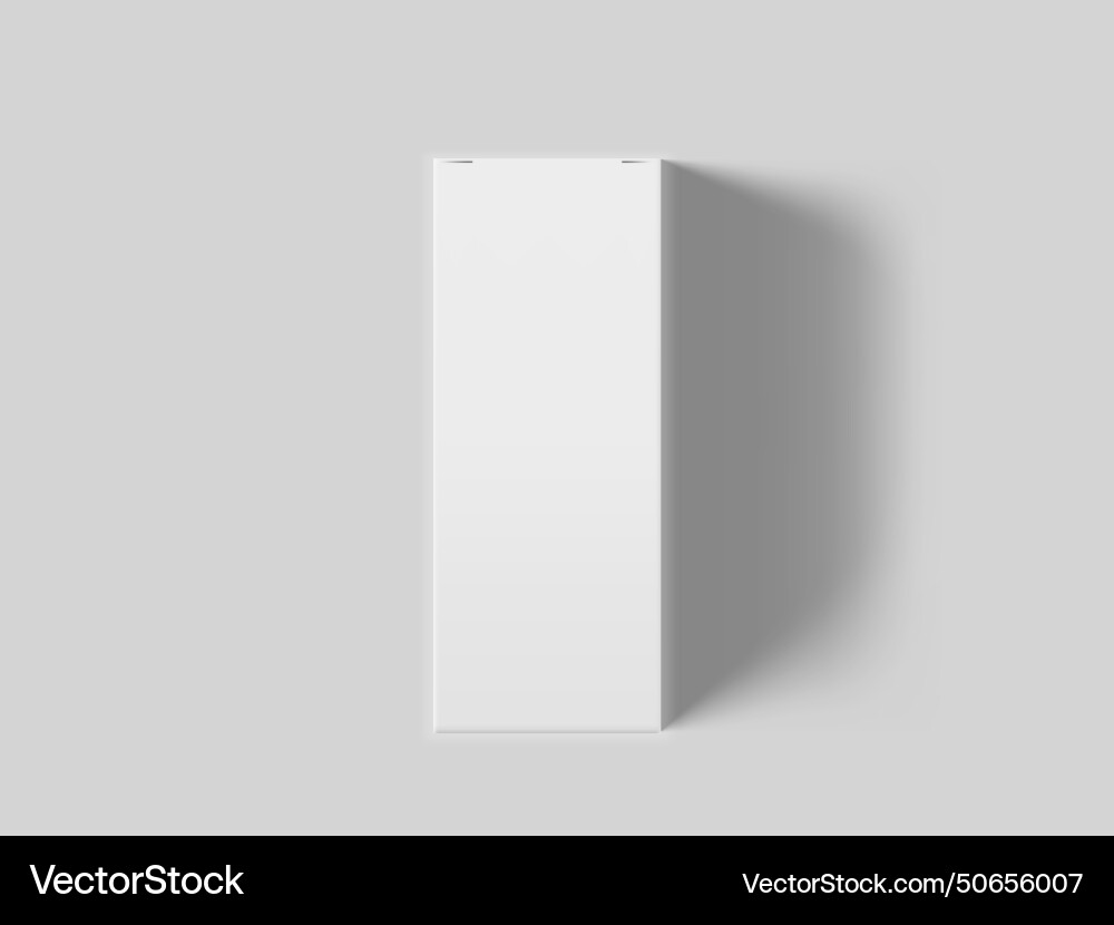 3d blank white cardboard box packaging isolated Vector Image