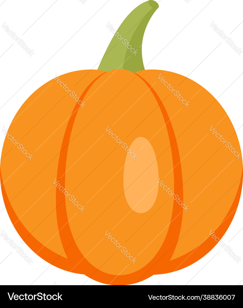 Agriculture pumpkin icon flat isolated Royalty Free Vector