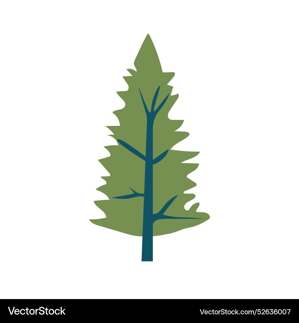 Cute spruce tree art simple pine Royalty Free Vector Image