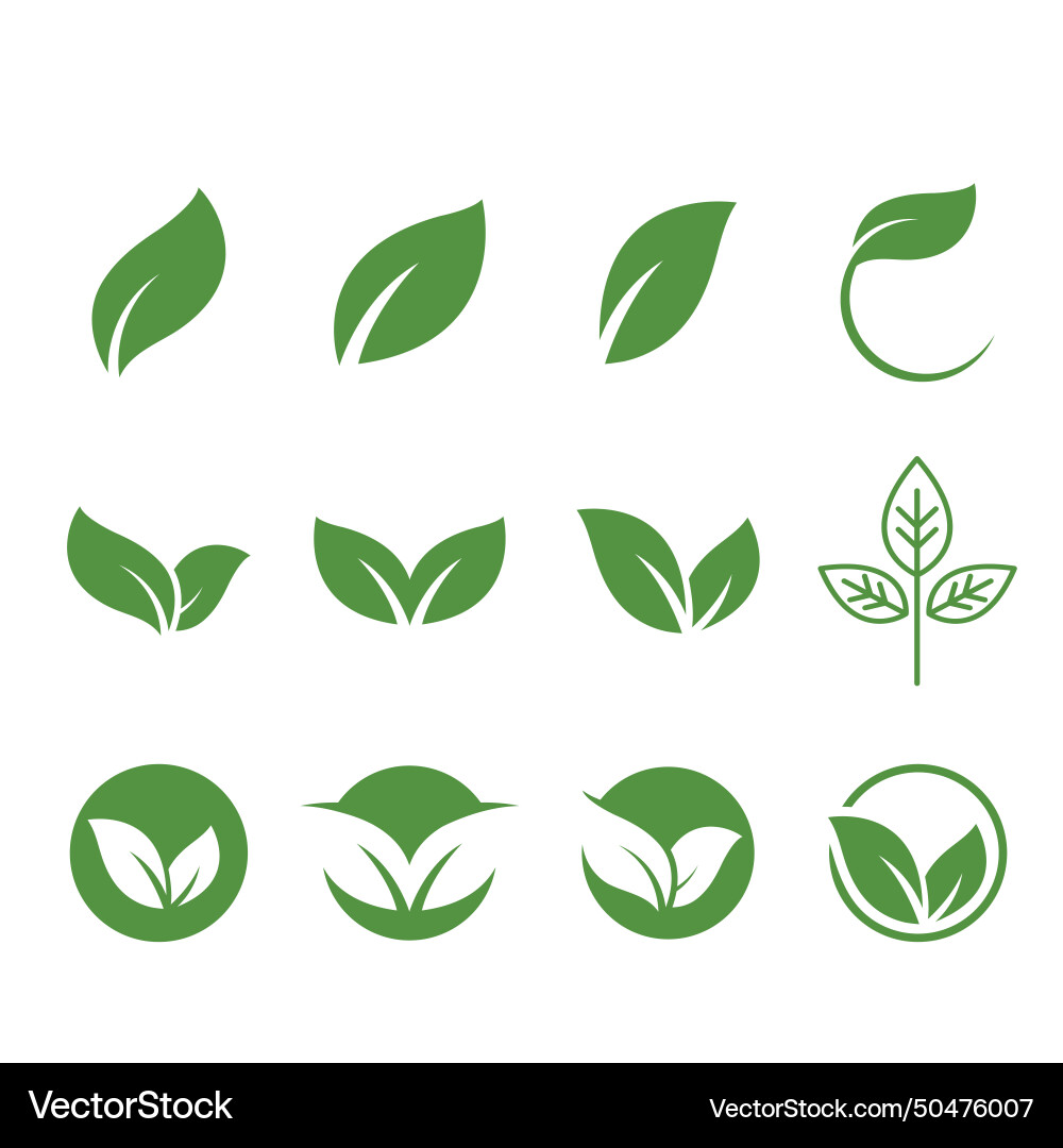 Eco leaf set element design template Royalty Free Vector
