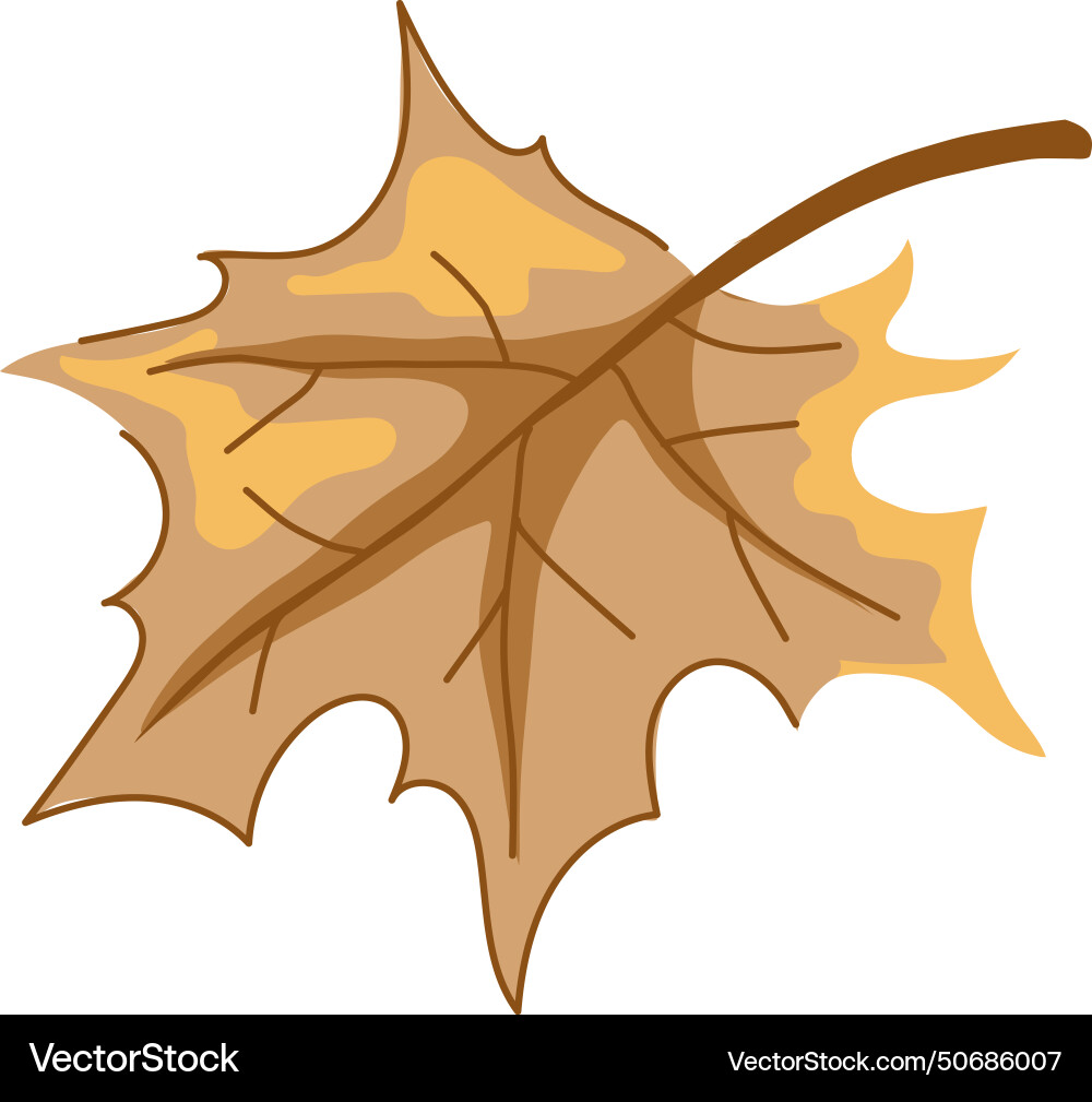 Leaves maple leaf cartoon Royalty Free Vector Image