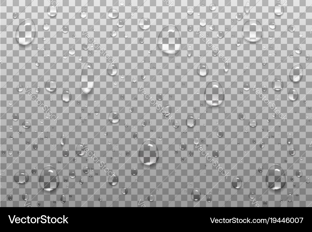Realistic transparent drops Royalty Free Vector Image