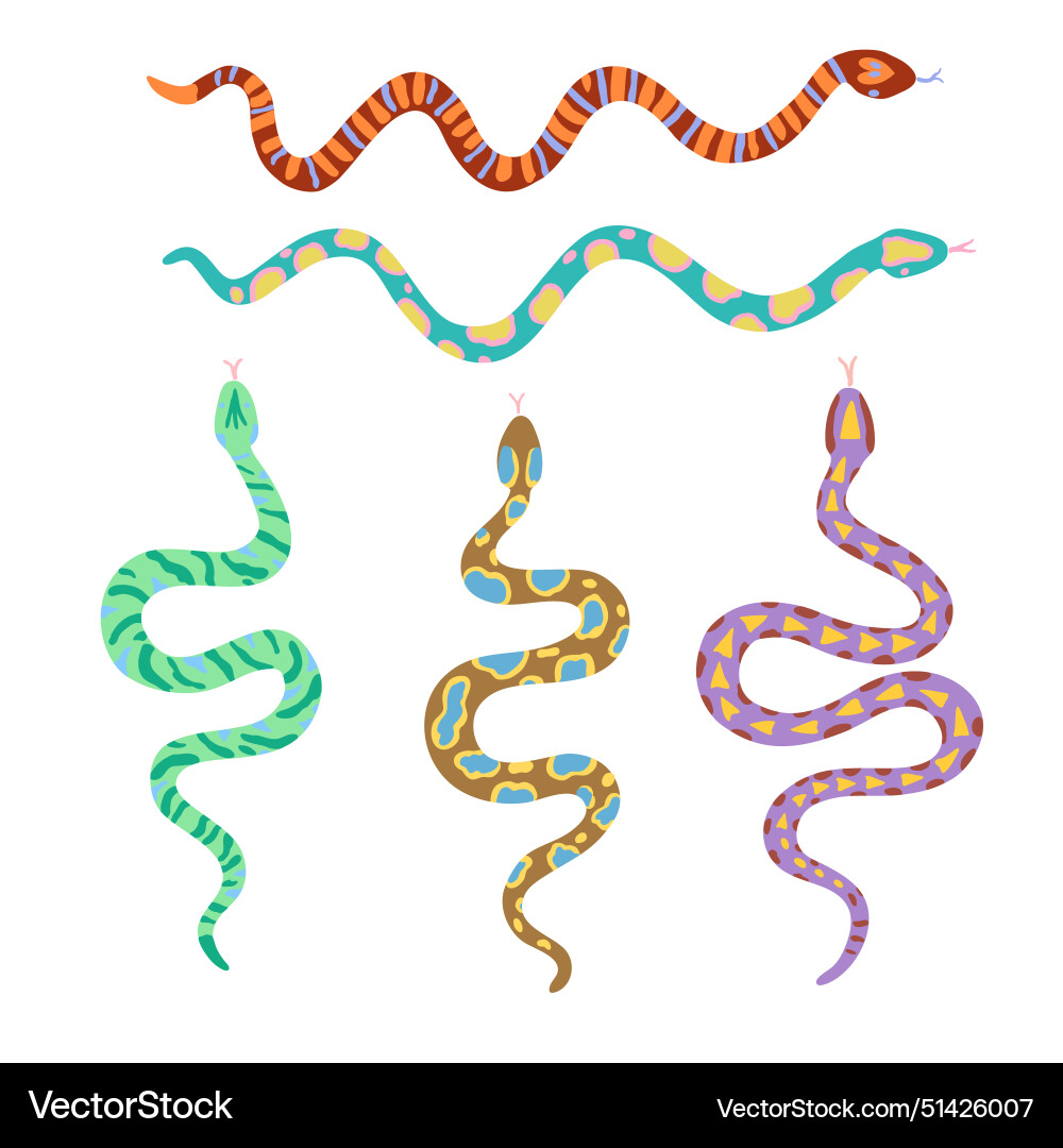 Set of snakes with various patterns design Vector Image