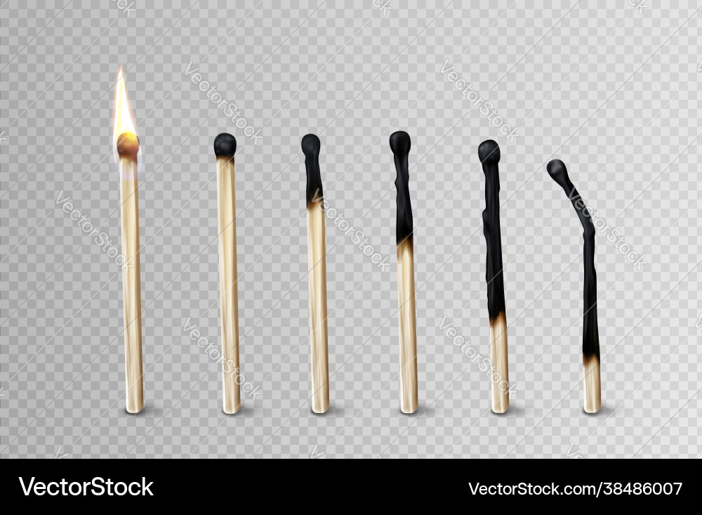 Stages match burning from fire to burnt stick Vector Image