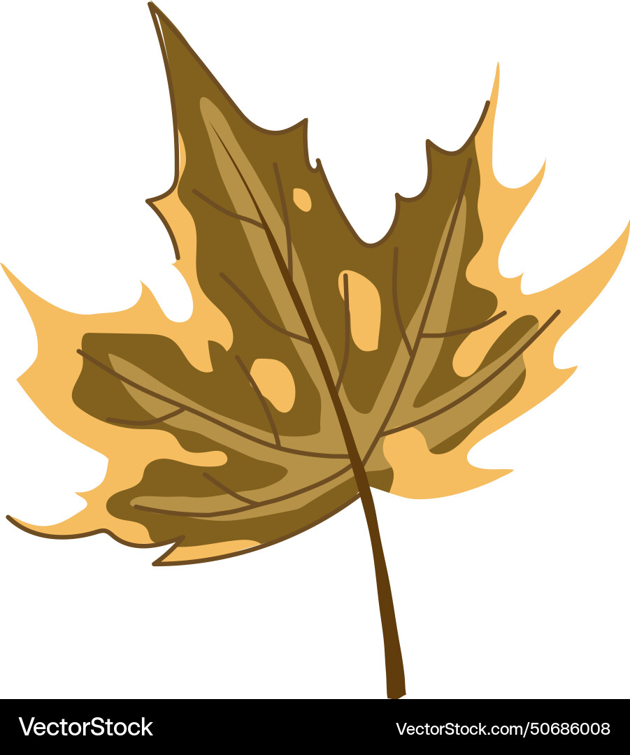 Canadian maple leaf cartoon Royalty Free Vector Image