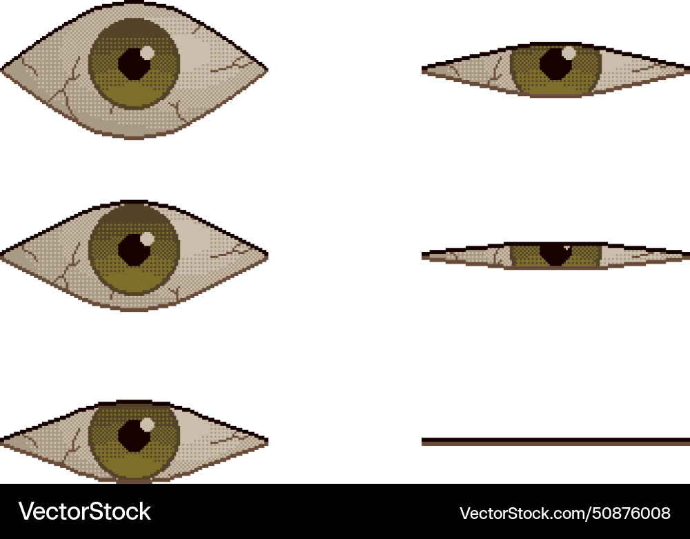 Pixel art eye set of blinking open and closed Vector Image