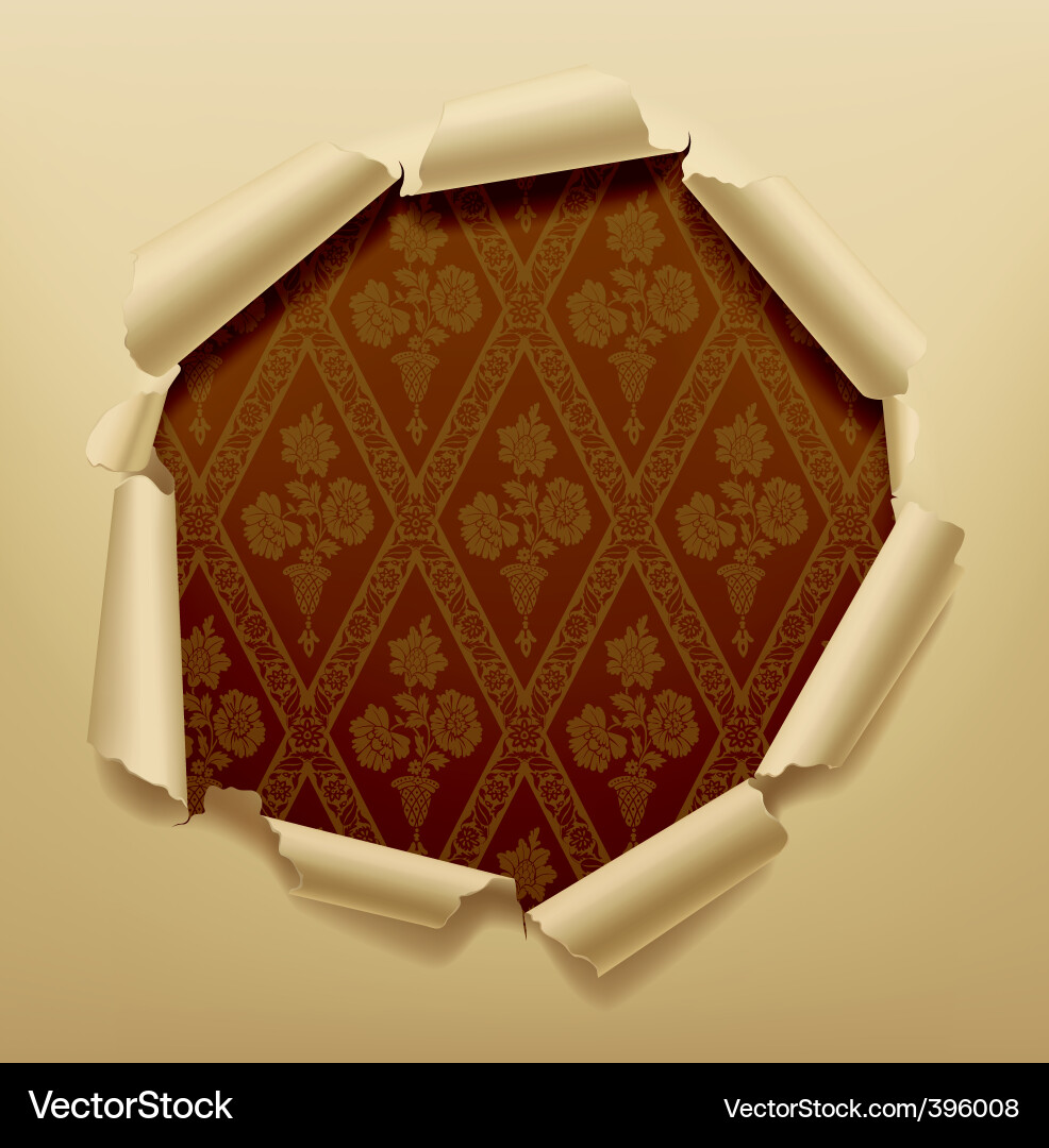 Torn paper hole Royalty Free Vector Image - VectorStock