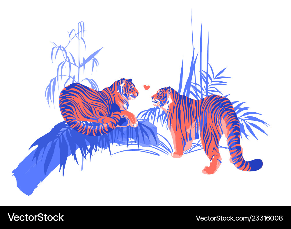 Two tigers in love looking at each other Vector Image