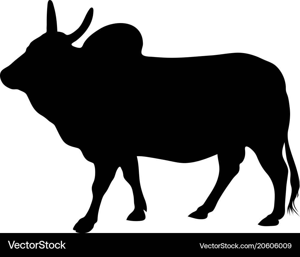 Black Zebu Bull Silhouette Royalty Free Vector Image
