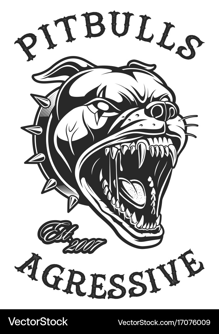Head of angry pitbull Royalty Free Vector Image
