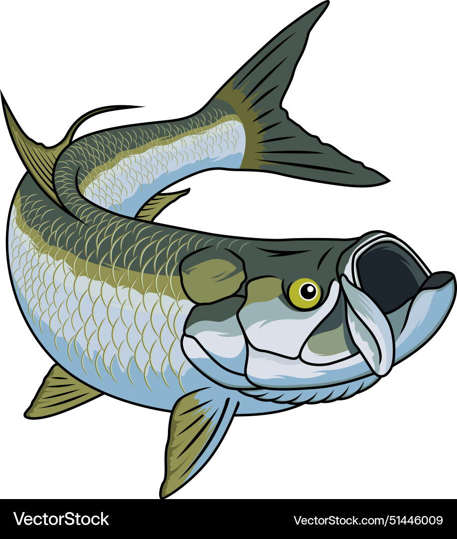 Tarpon fishing logo image Royalty Free Vector Image