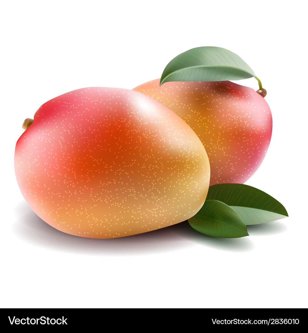 Mango Vector Images (over 20,000)