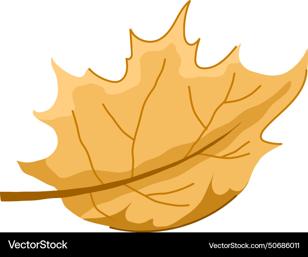 Fall maple leaf cartoon Royalty Free Vector Image