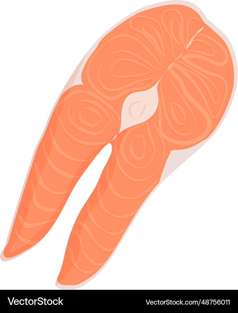 Salmon fish fillet Royalty Free Vector Image - VectorStock