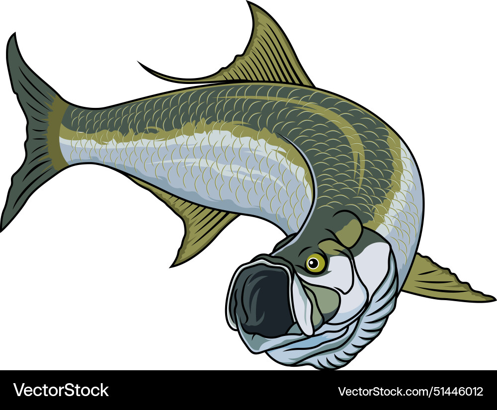 Tarpon fishing logo image Royalty Free Vector Image