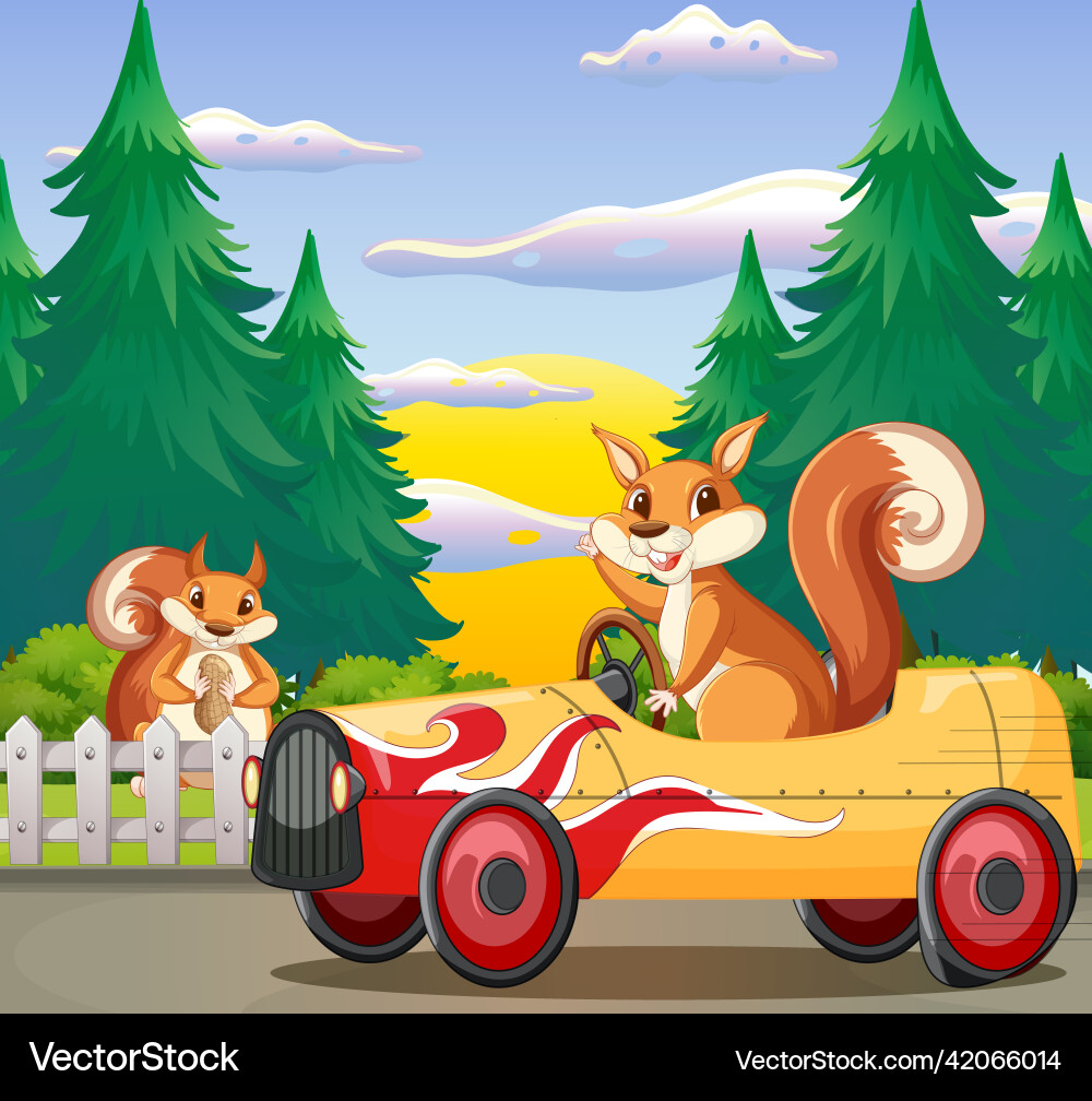 A squirrel driving on island Royalty Free Vector Image