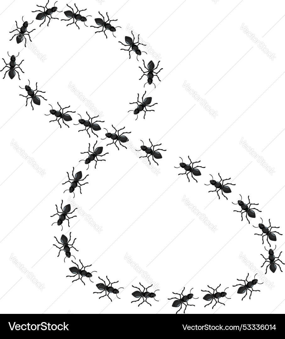 Ants forming number eight shape over white Vector Image