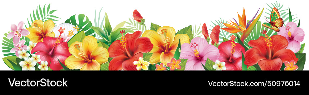 Border from hibiscus flowers and tropical leaf Vector Image