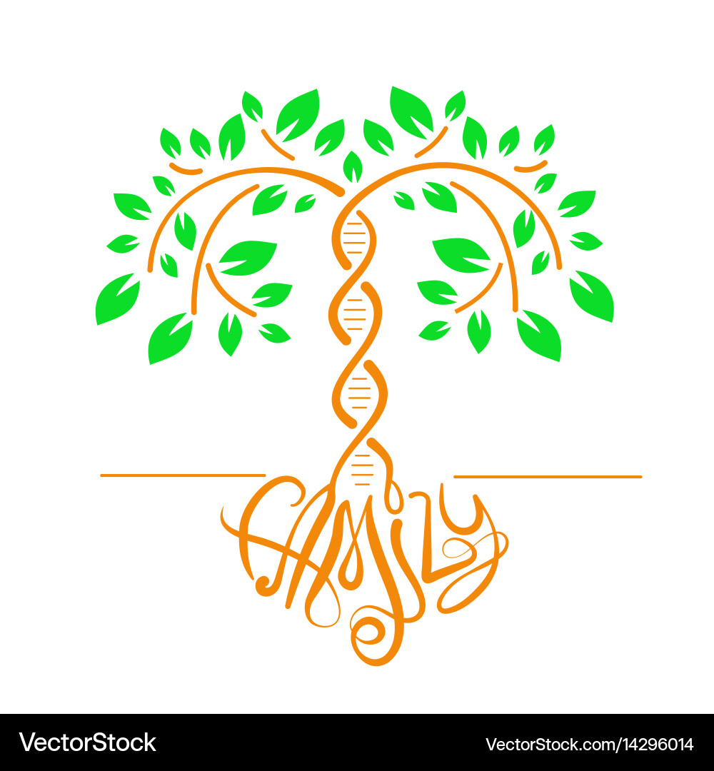 DNA Tree Icon - Family Gene Royalty Free Vector Image
